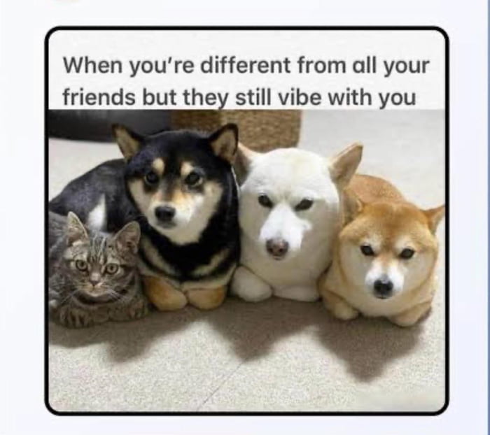 Hahaha feels… - 9GAG