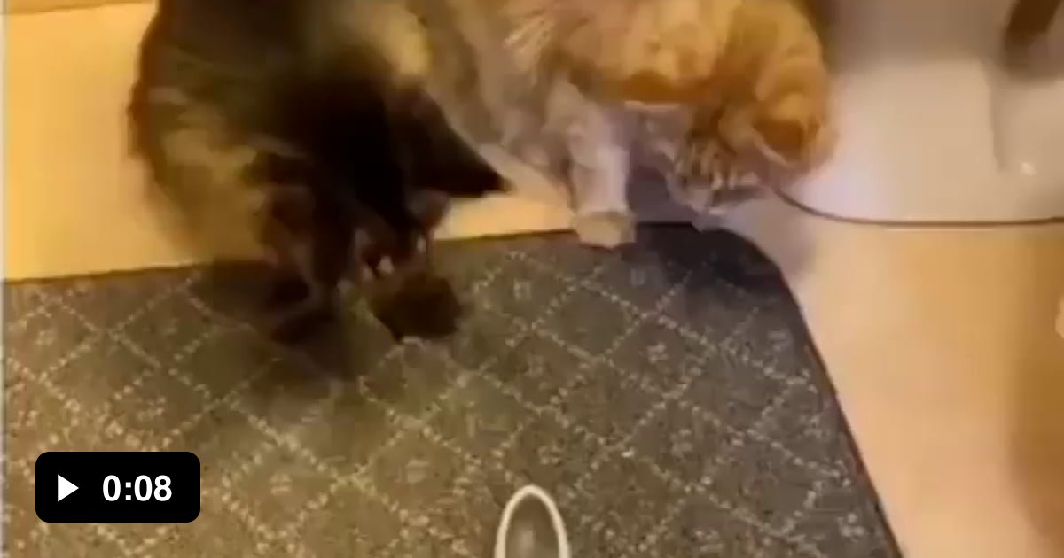 WTF Spoon Attack Me - 9GAG