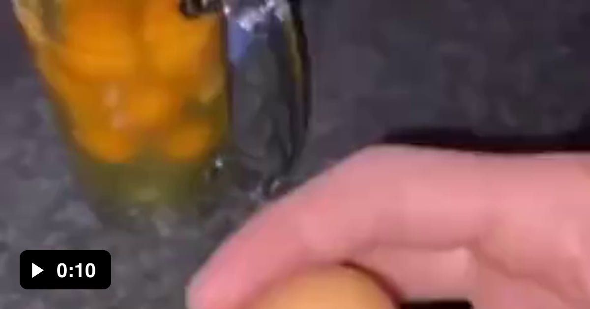 Egg - 9GAG