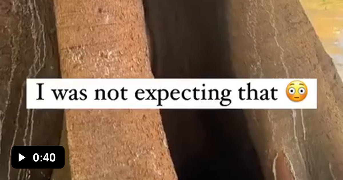 Wait until he Pokes it - 9GAG