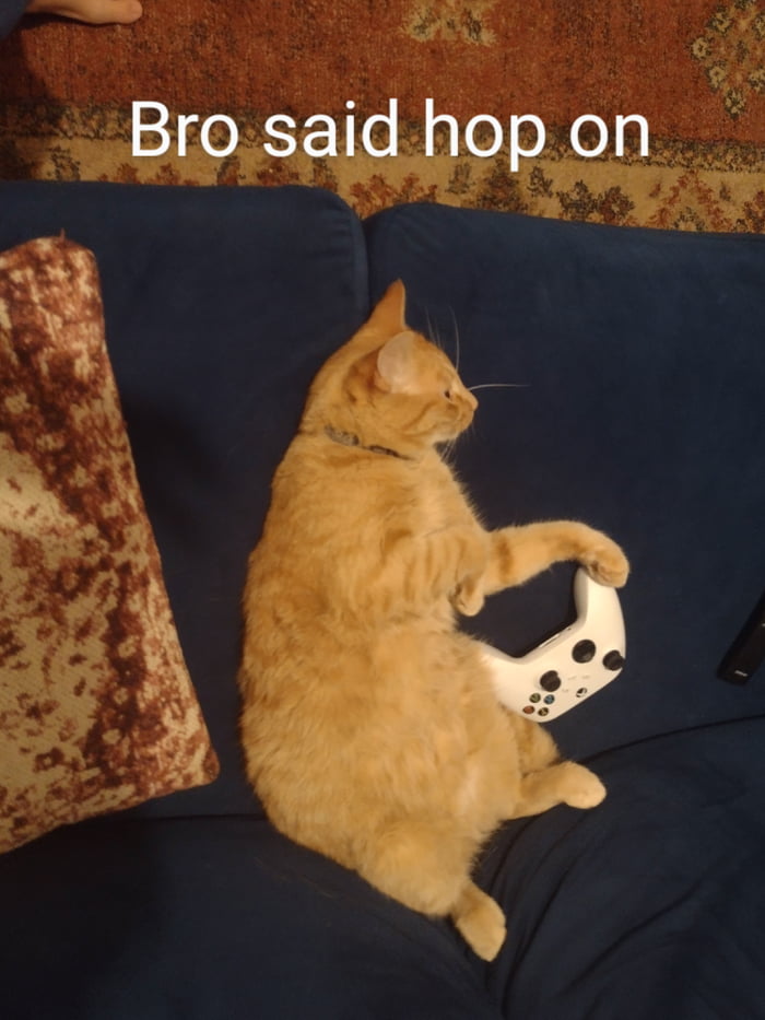 He wanted to play cod - 9GAG