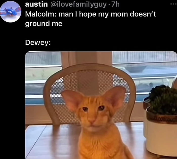 MITM good meme - 9GAG