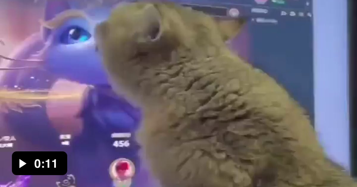 He definitely would - 9GAG