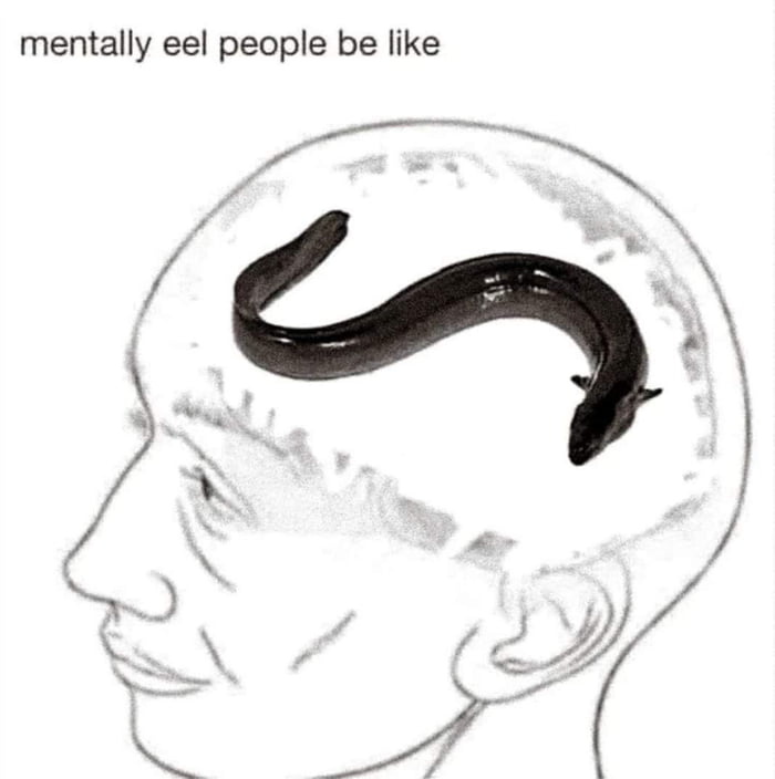 FOR EEL - 9GAG
