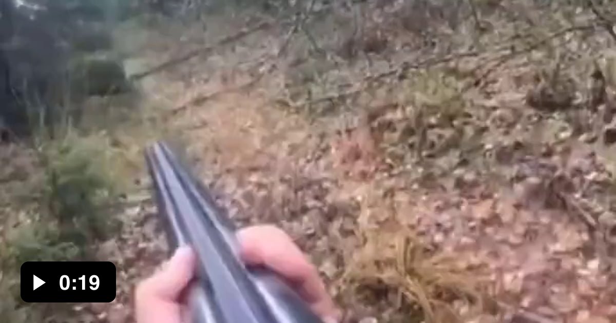 Dangerous dangerous dangerous - 9GAG