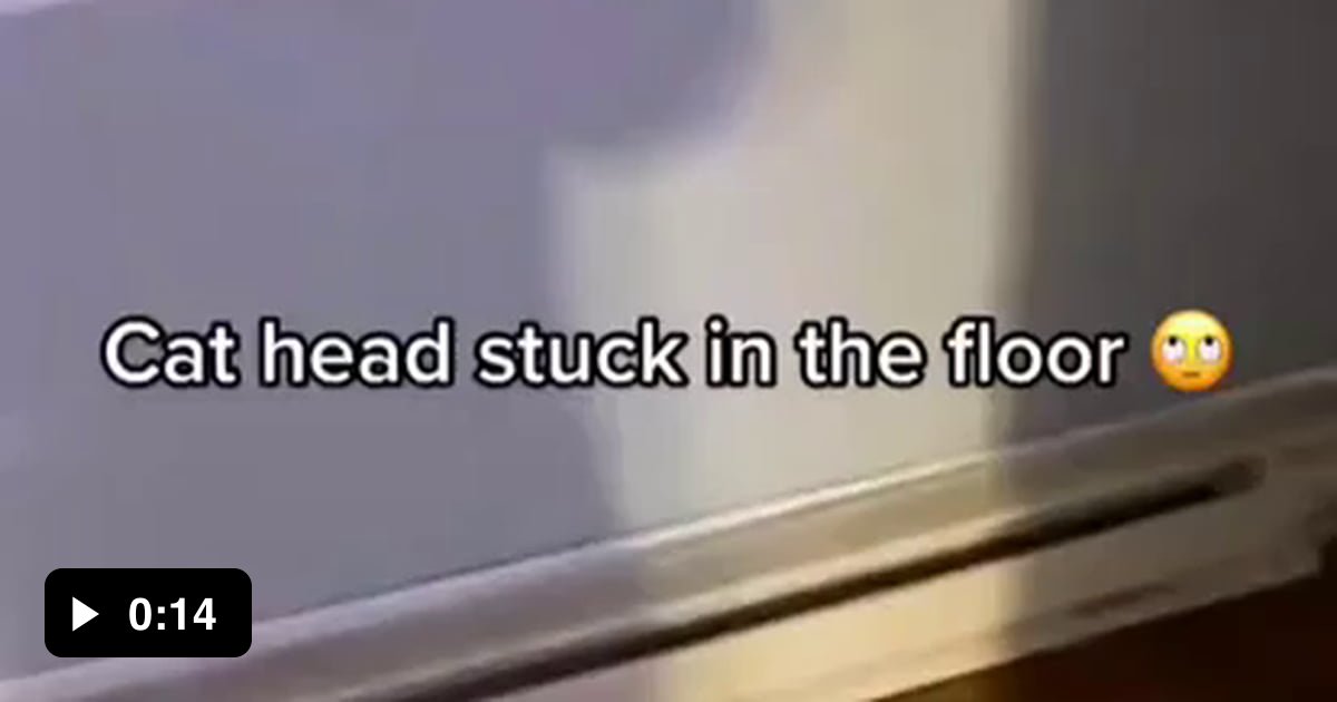 Stuck in the floor :( - 9GAG