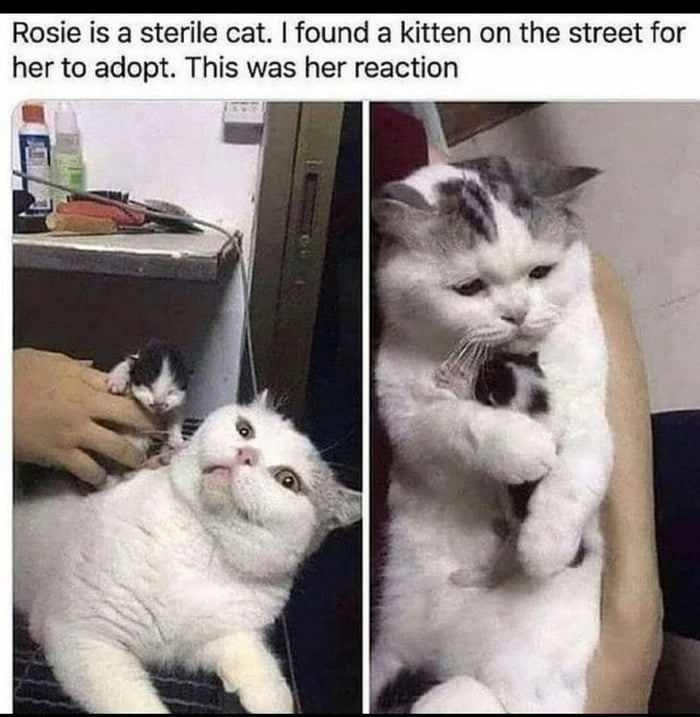 Mom 9gag