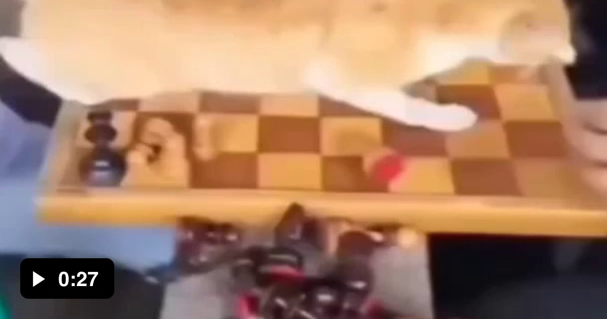 Not an ordinary chess match - 9GAG