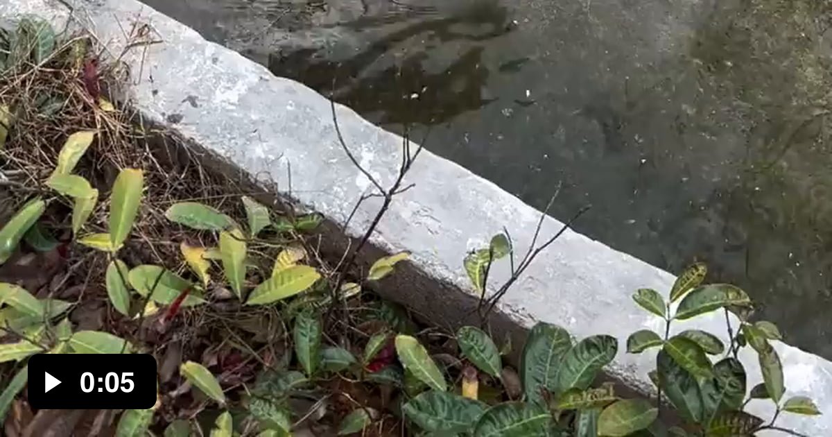 Tippy tapping and sipping water - 9GAG