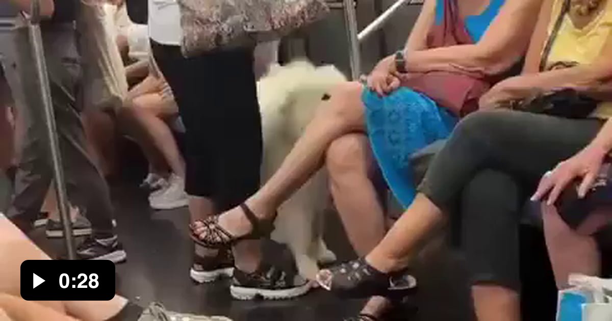 A friendly doggo - 9GAG