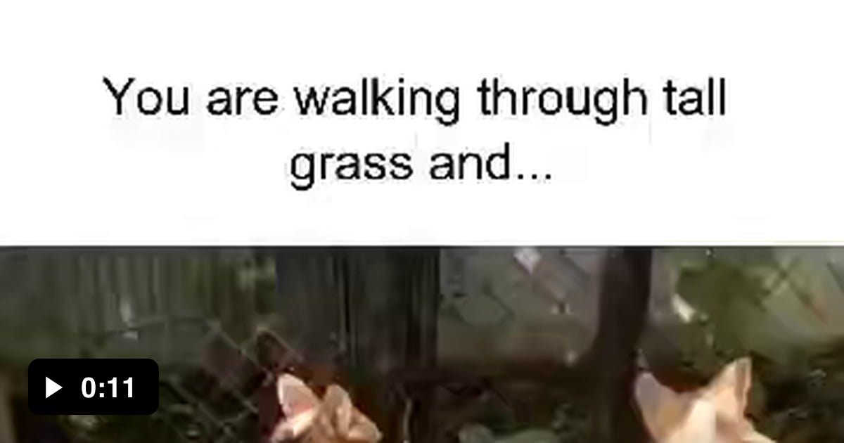 A wild _______ has appeared! - 9GAG