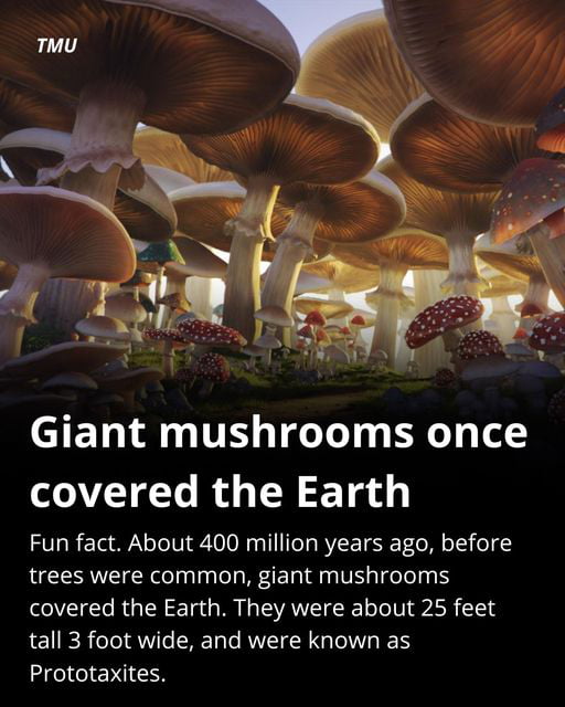 I can´t remember when... - 9GAG