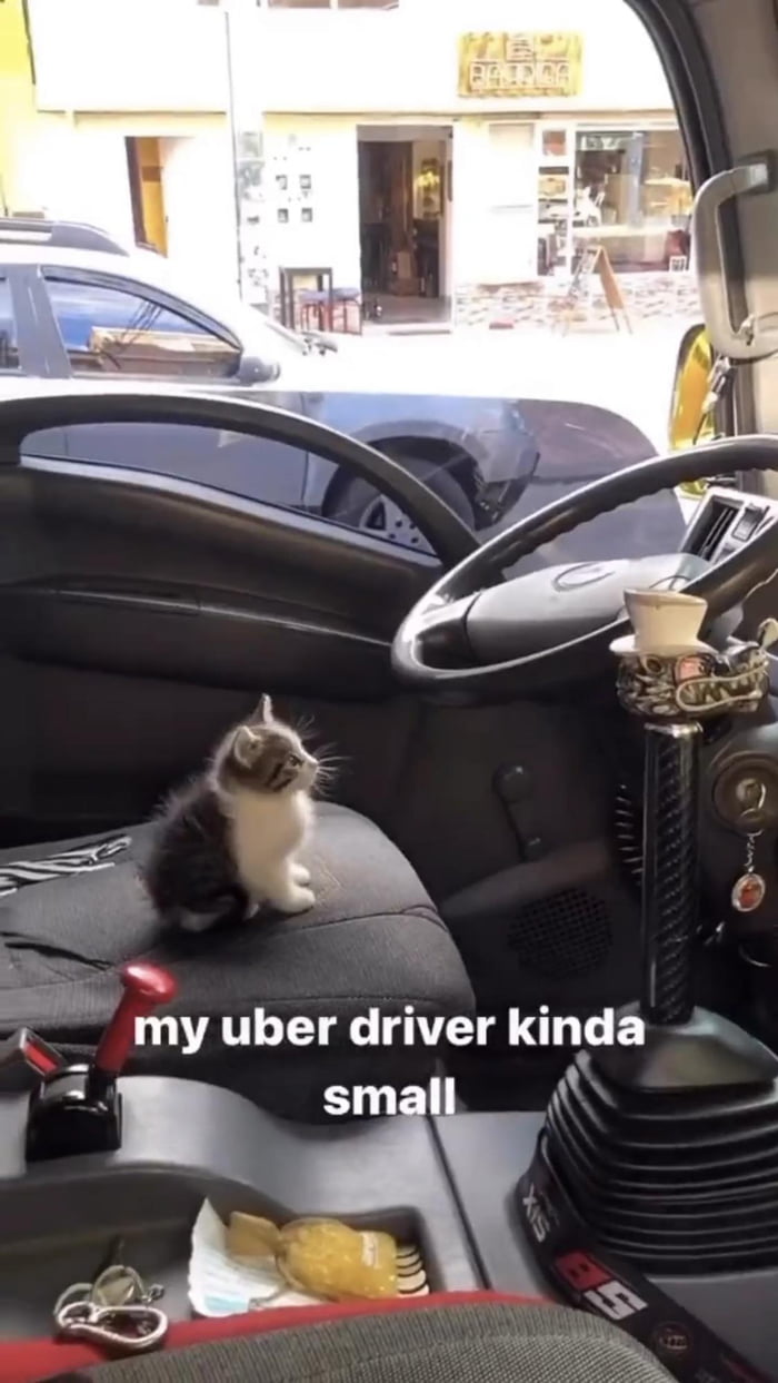 Smol uber driver doesn't need a license! - 9GAG