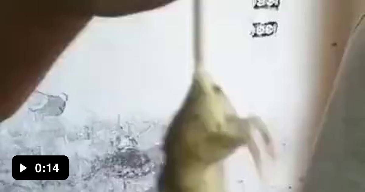 I REQUIRE CURSED CONTENT - 9GAG