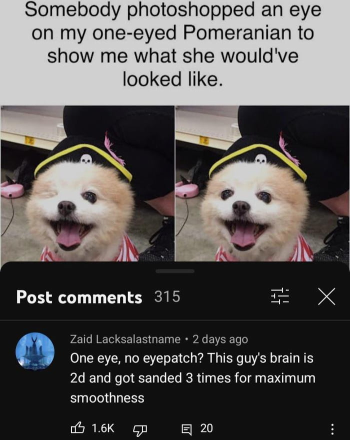 Wholesome pirate pupper - 9GAG