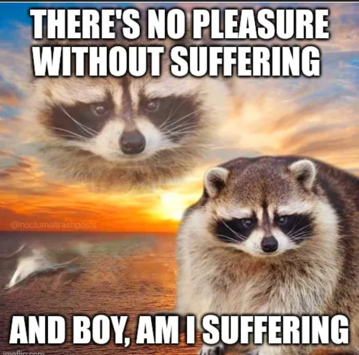 Have an OC raccoon meme - 9GAG