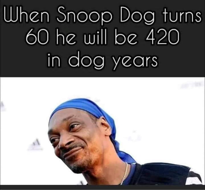 Snoop Dogg Dog 9gag
