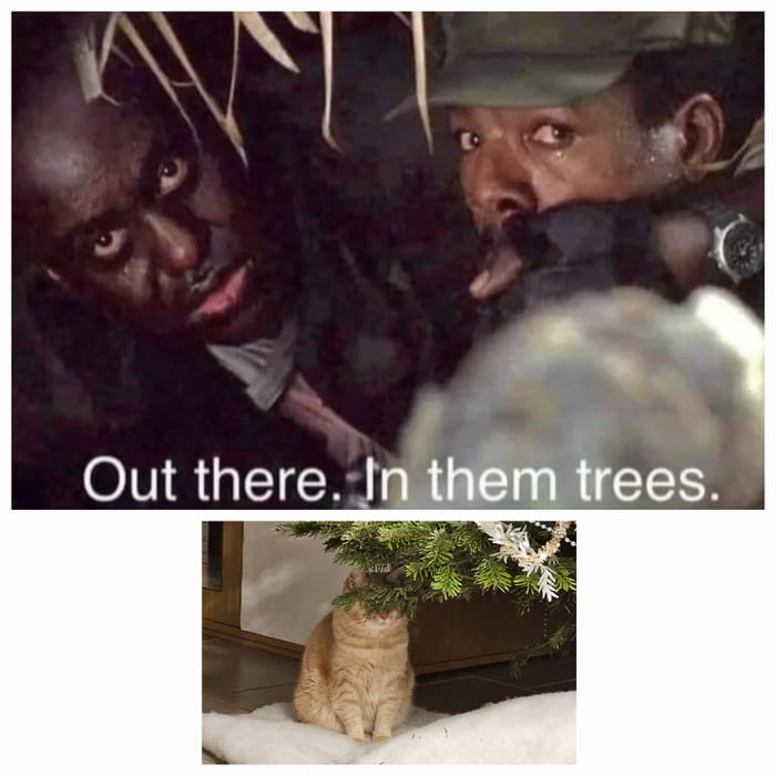 At least she tried - 9GAG