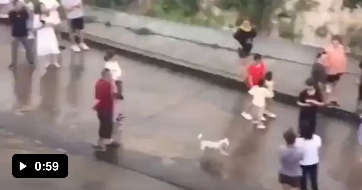 Omg. so brave - 9GAG