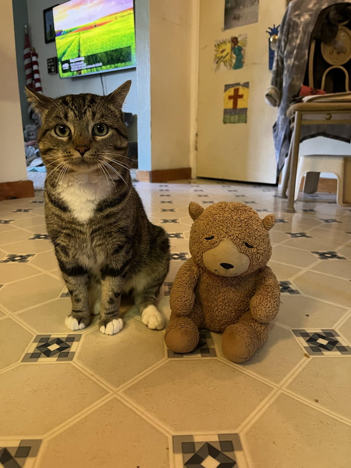 Is this the cutest picture of Toby ever? Probably! - 9GAG