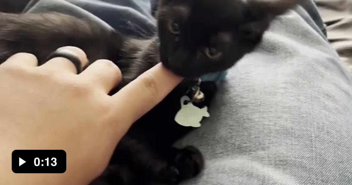 Smol Hungry boi - 9GAG