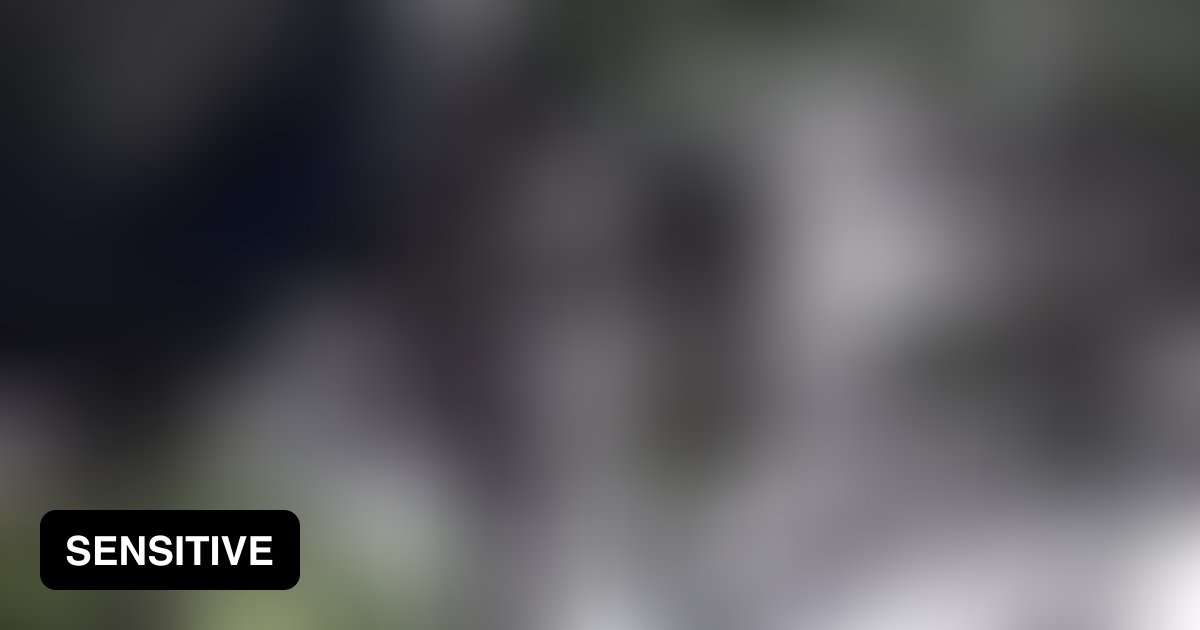 Parrot raving - 9GAG