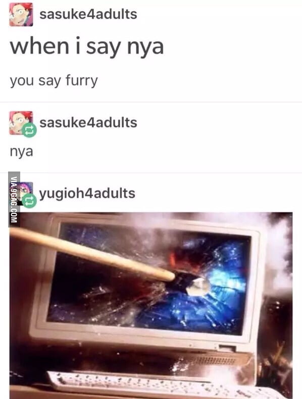 You know like... nya - 9GAG