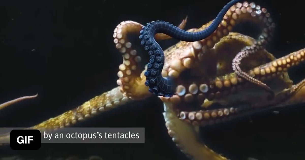 Awesome Octopus Gripper - 9GAG