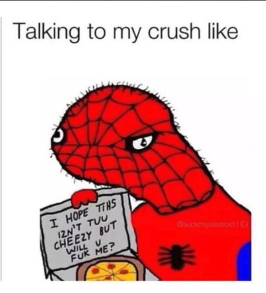 Spoderman Y U Do Dis
