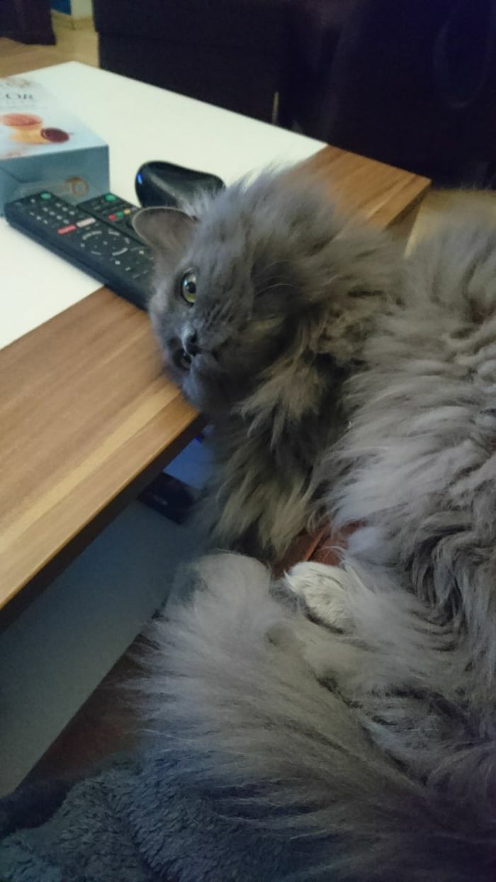 Sometimes I think the Red dot isnt real - 9GAG