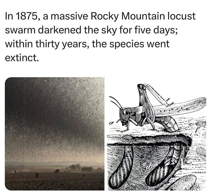 That is an unbelievable scale of a natural event. - 9GAG