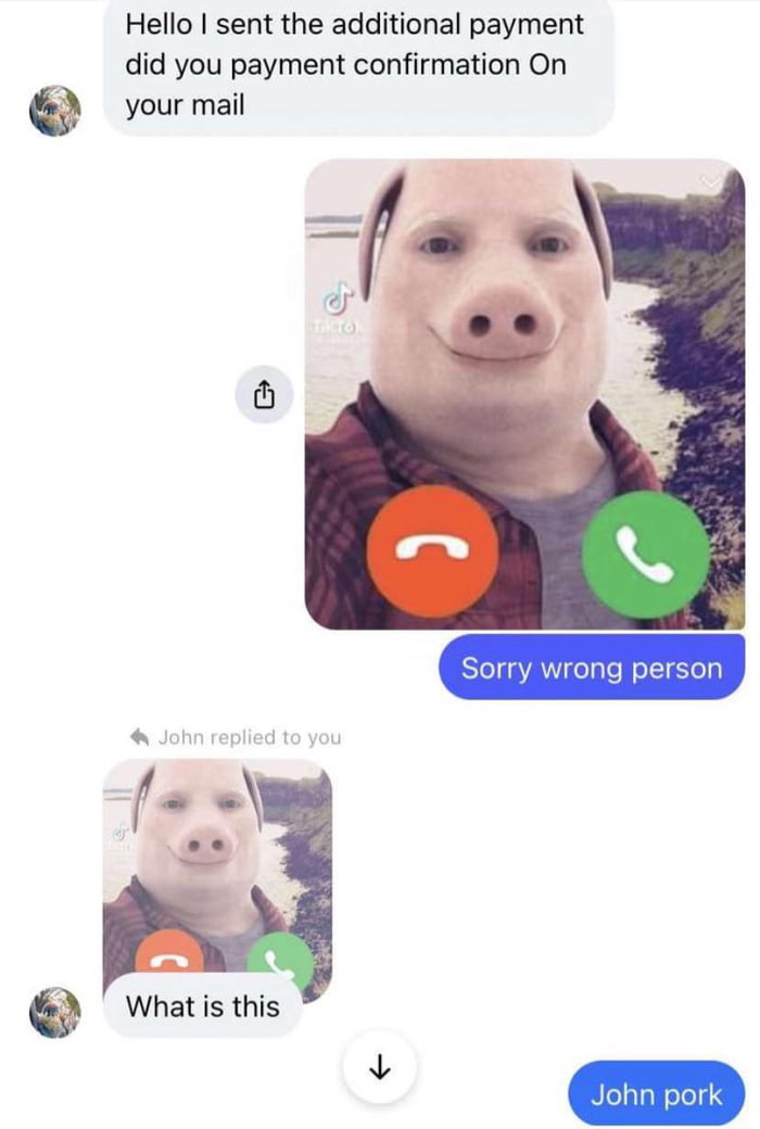 When the wrong number sends you a John Pork selfie - 9GAG