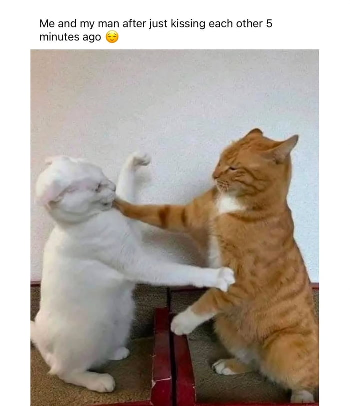 Accurate representation - 9GAG