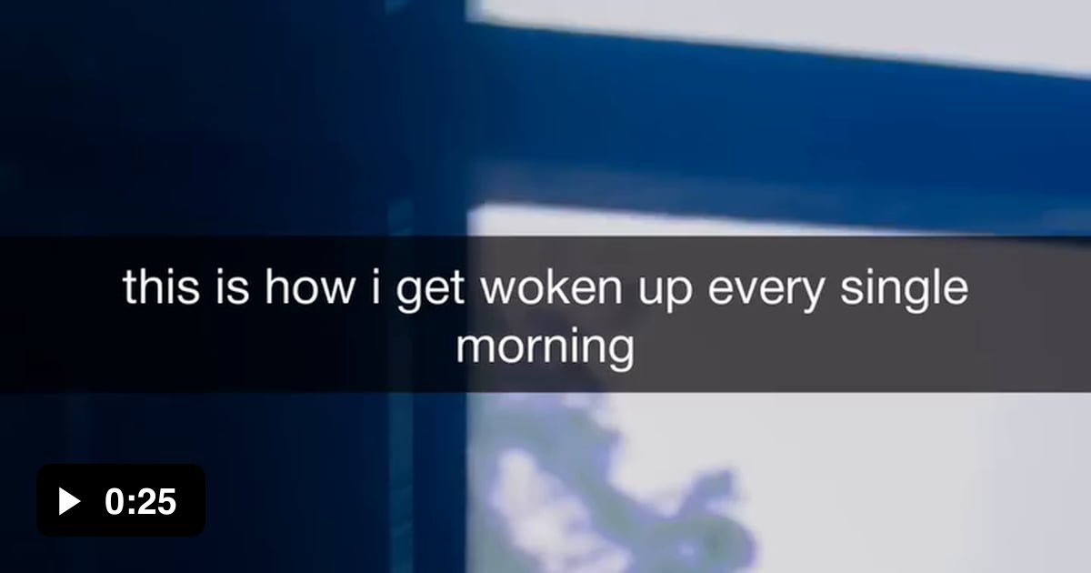 My personal feathered alarm clock. - 9GAG