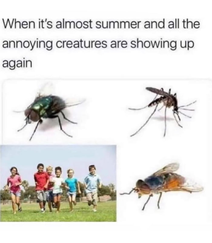 Ah, summer—the season of buzzing kids - 9GAG