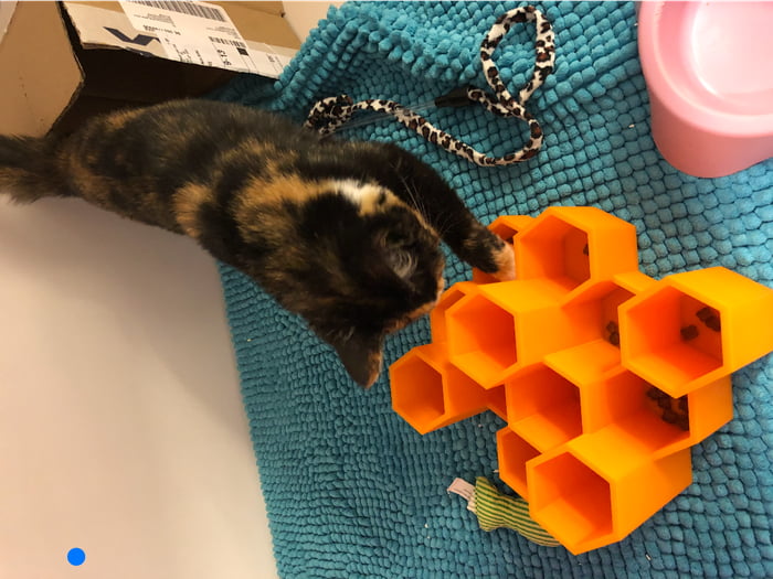 Designed and 3d printed a slow cat feeder. What do you think? - 9GAG