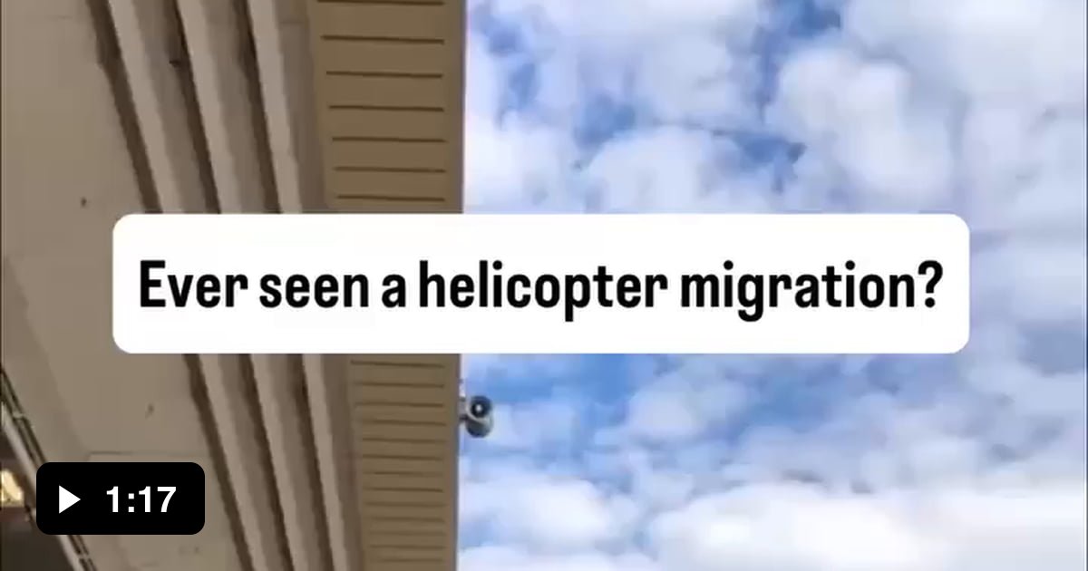 The annual helicopter migration is a sight to behold. - 9GAG