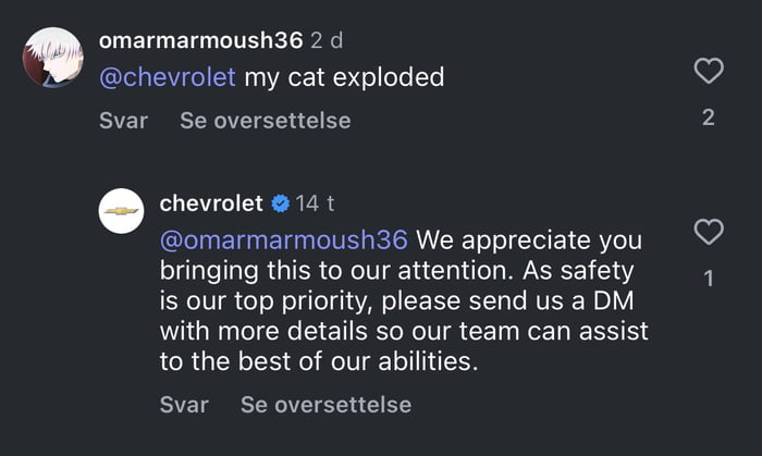 Cat exploded - 9GAG