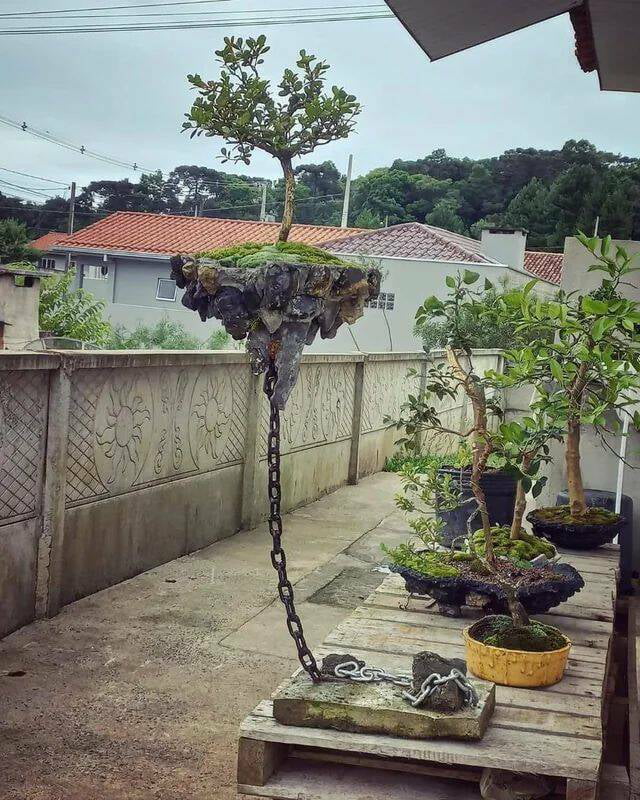 Bonsai in chains - 9GAG