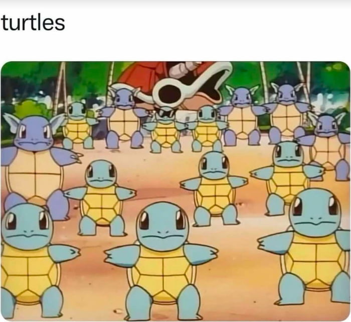 TURTLE ARMY - 9GAG