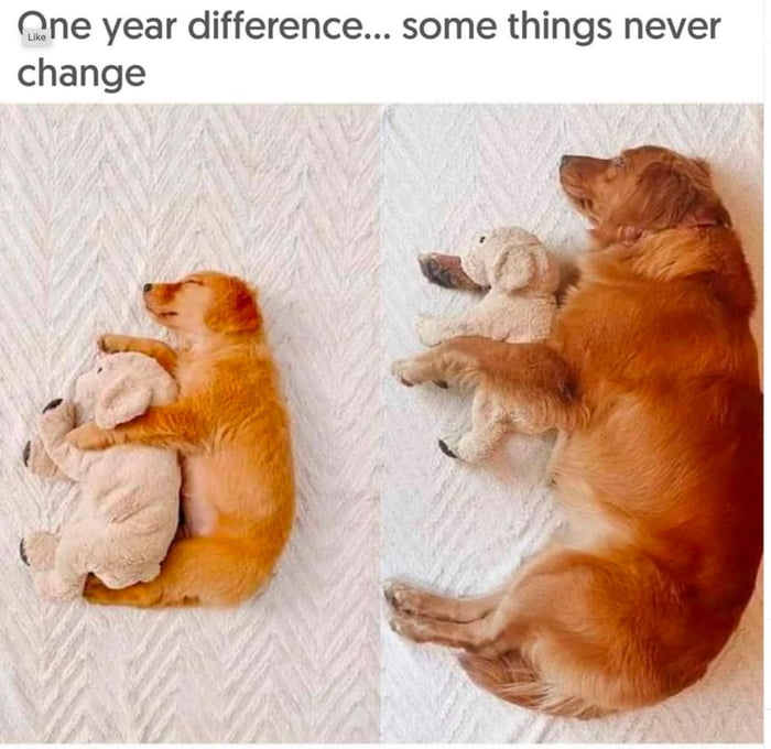 Nothing changed - 9GAG