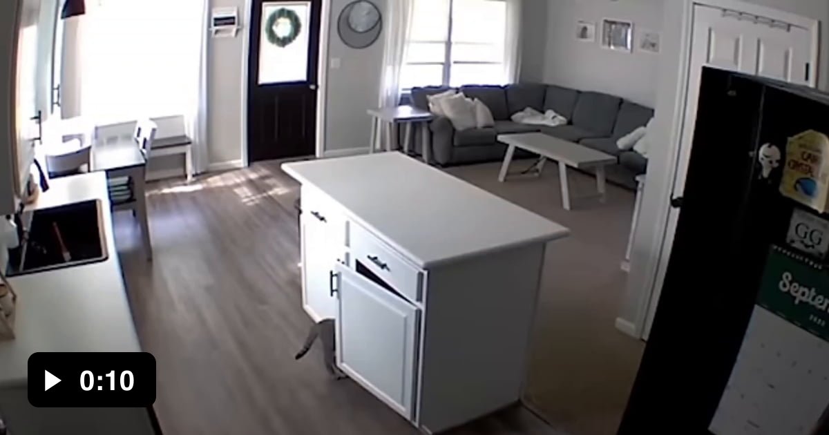 󠇃󠇃󠇃 󠇃󠇃󠇃 - 9GAG