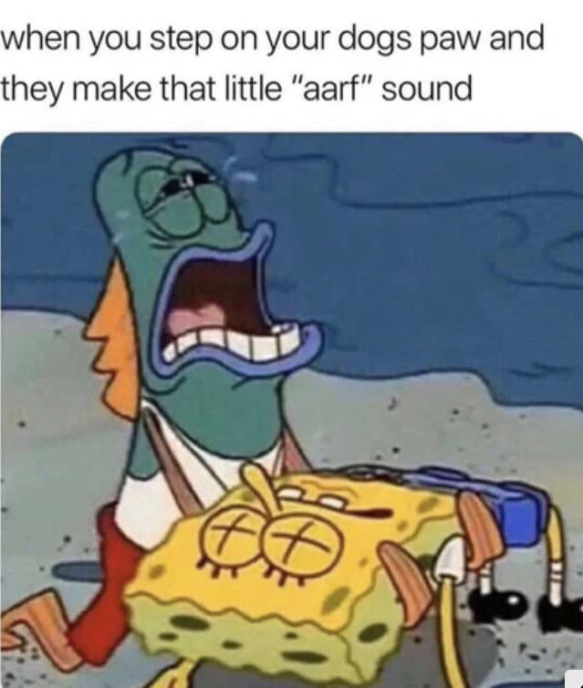 When you step on your dogs paw… - 9GAG