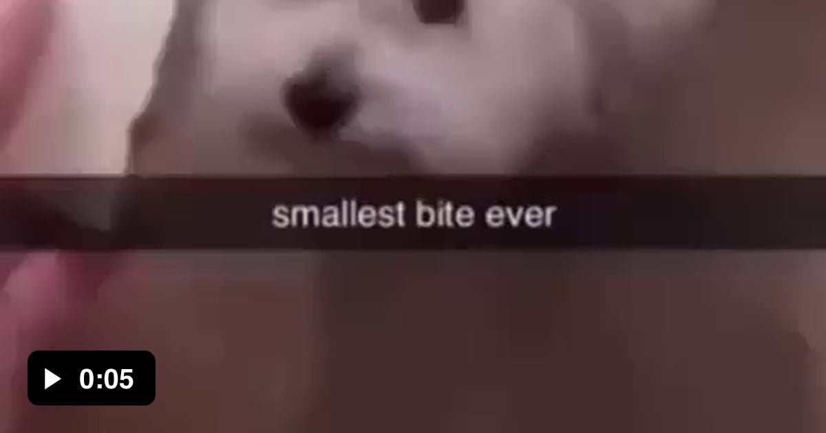 Small bite - 9GAG