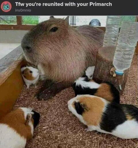 It’s ok dad, you come back when you’re ready (Speaking to a brick wall) - 9GAG