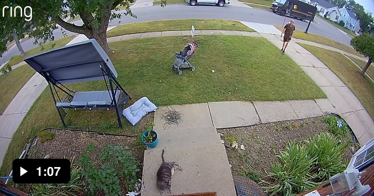 Bruce is cheating on the mailman with the UPS guy in a tawdry affair ...