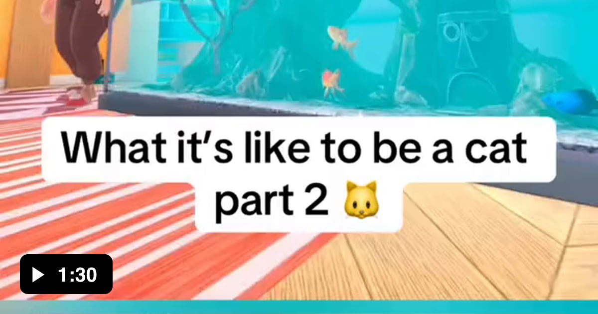 Since literally nobody is giving out the name of the game. Its called I Am Cat - 9GAG