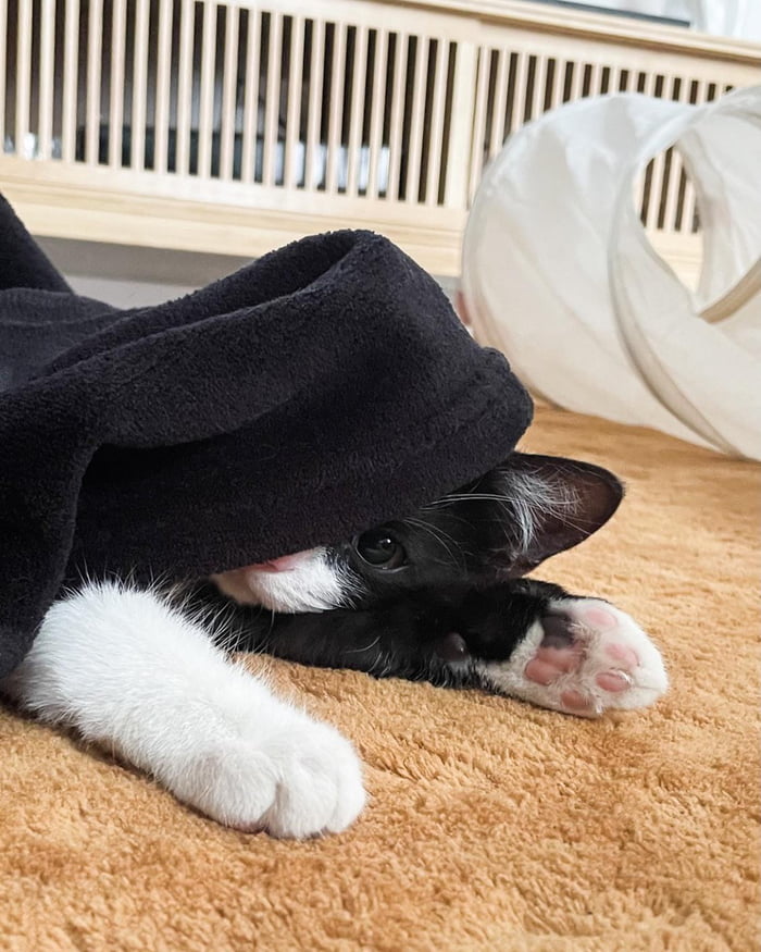 Hide and seek - 9GAG