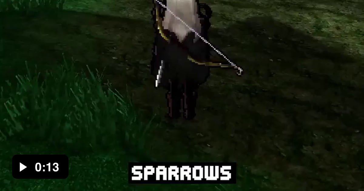 New sparrows and crows make noises and fly away when approached. What do you think? - 9GAG