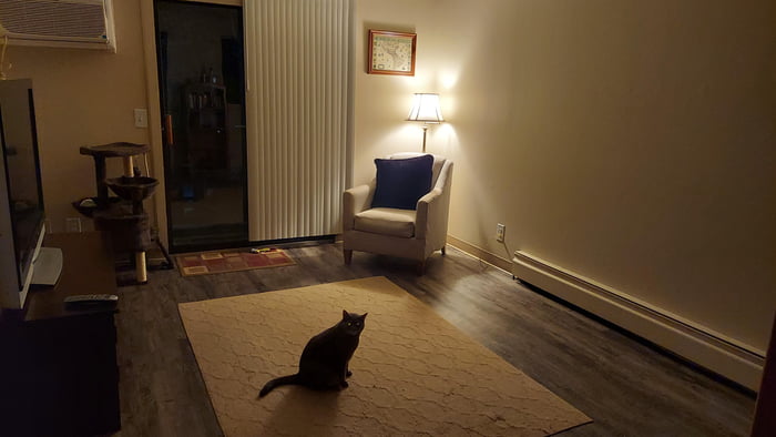 First apartment - 9GAG